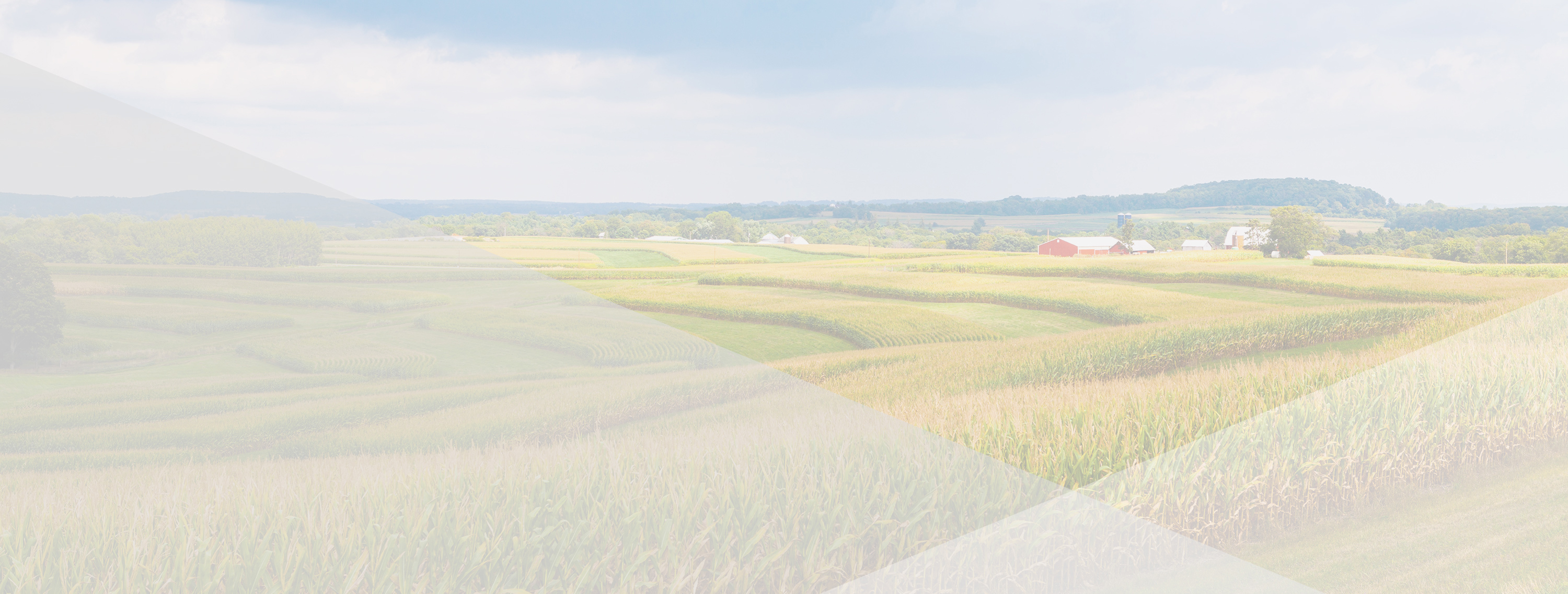 Luana Savings Bank Appoints Sarah Schultz Freilinger as President and ...